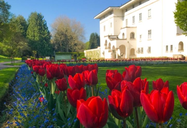 Välkommen till Sollidens Slott på Öland